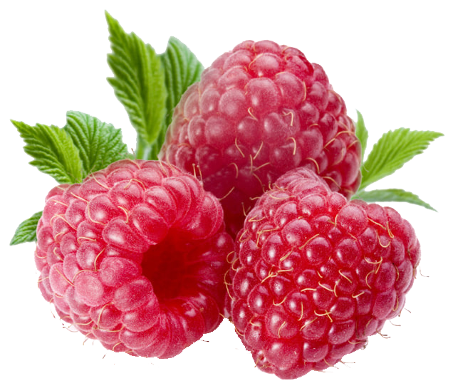 Raspberry Puree Suppliers and Distributors – Juice Concentrate
